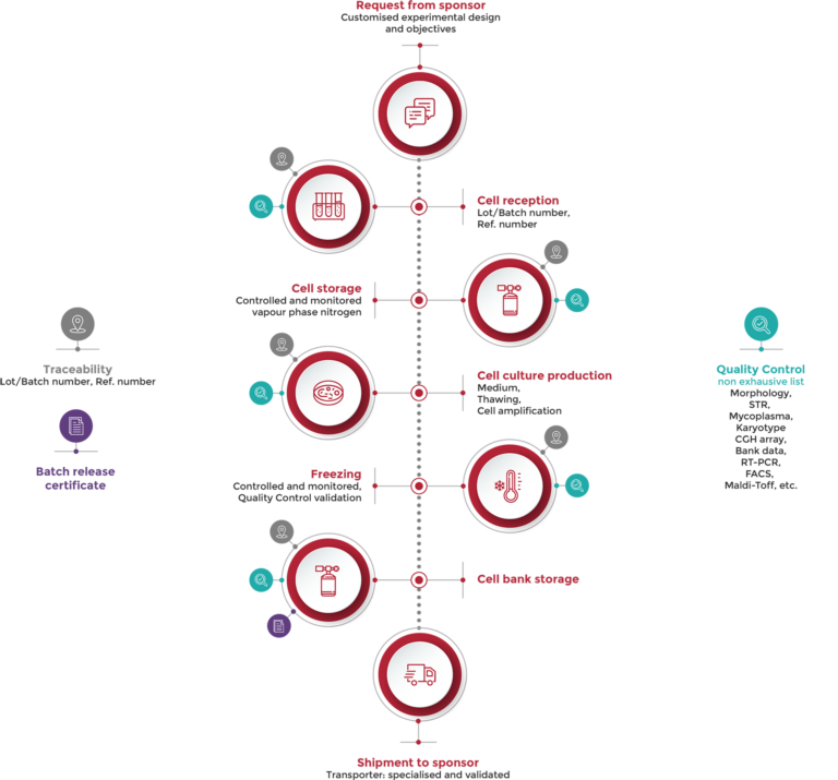 Cell Culture & Banking - Human Cell Design