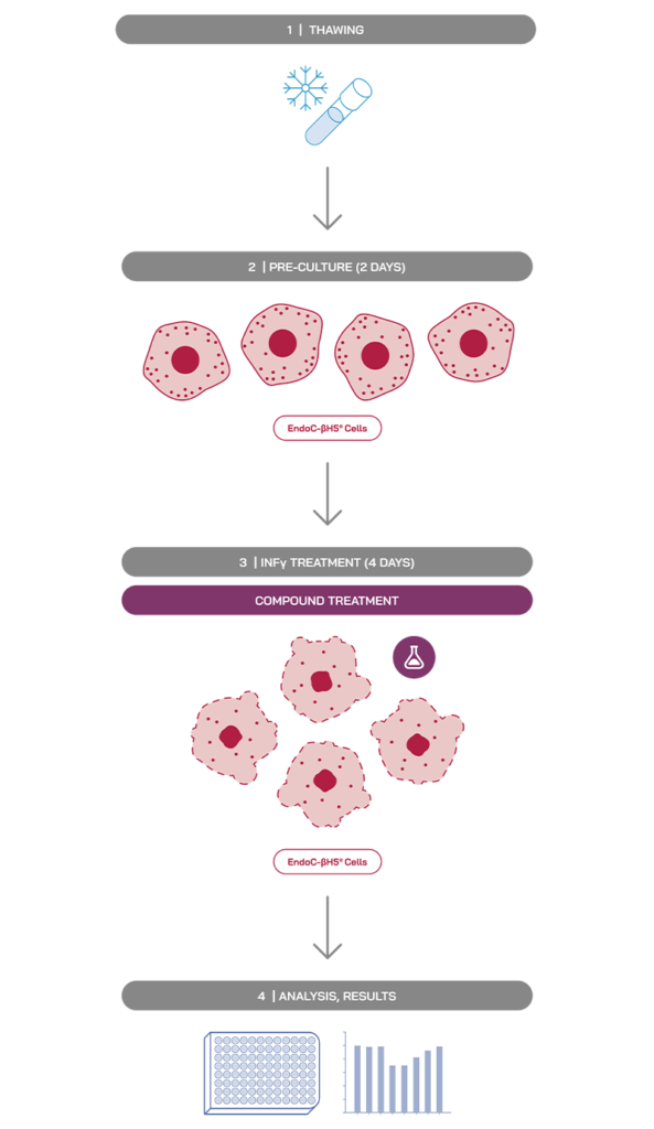 Beta Cell Inflammation Assay - Human Cell Design
