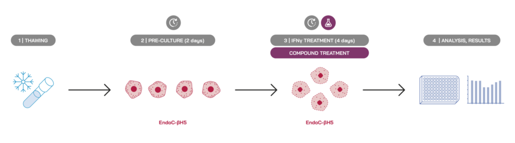 Beta Cell Inflammation Assay - Human Cell Design