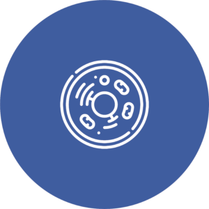 Succeed Platform - Human Cell Design