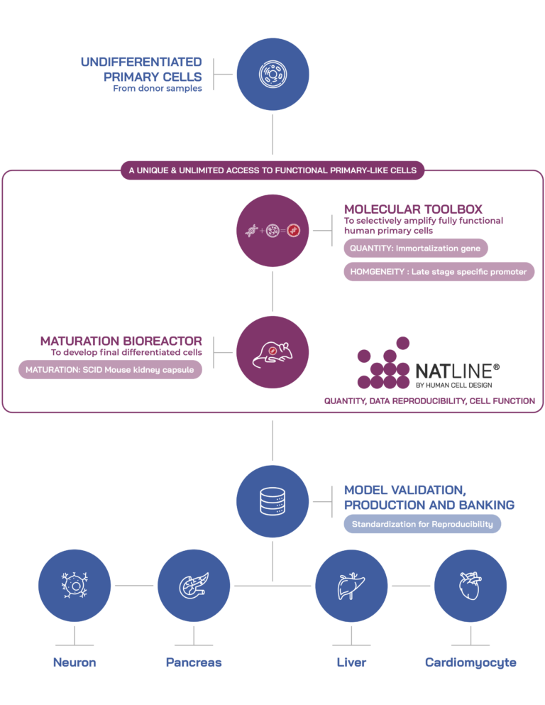 Natline Platform - Human Cell Design