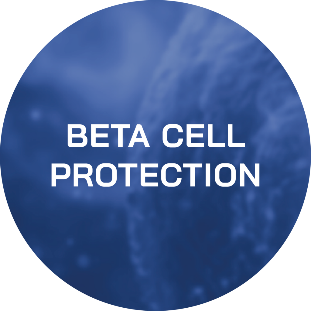 Beta Cell Inflammation Assay - Human Cell Design
