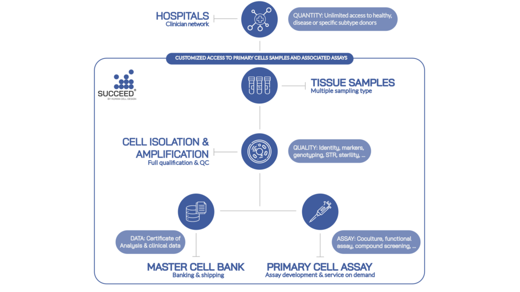 Human Samples Collection - Human Cell Design