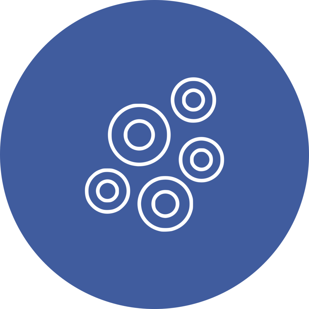 Beta Cell Inflammation Assay - Human Cell Design