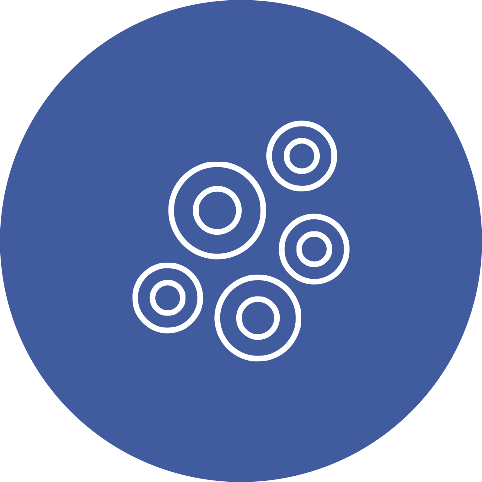 Beta Cell Inflammation Assay - Human Cell Design